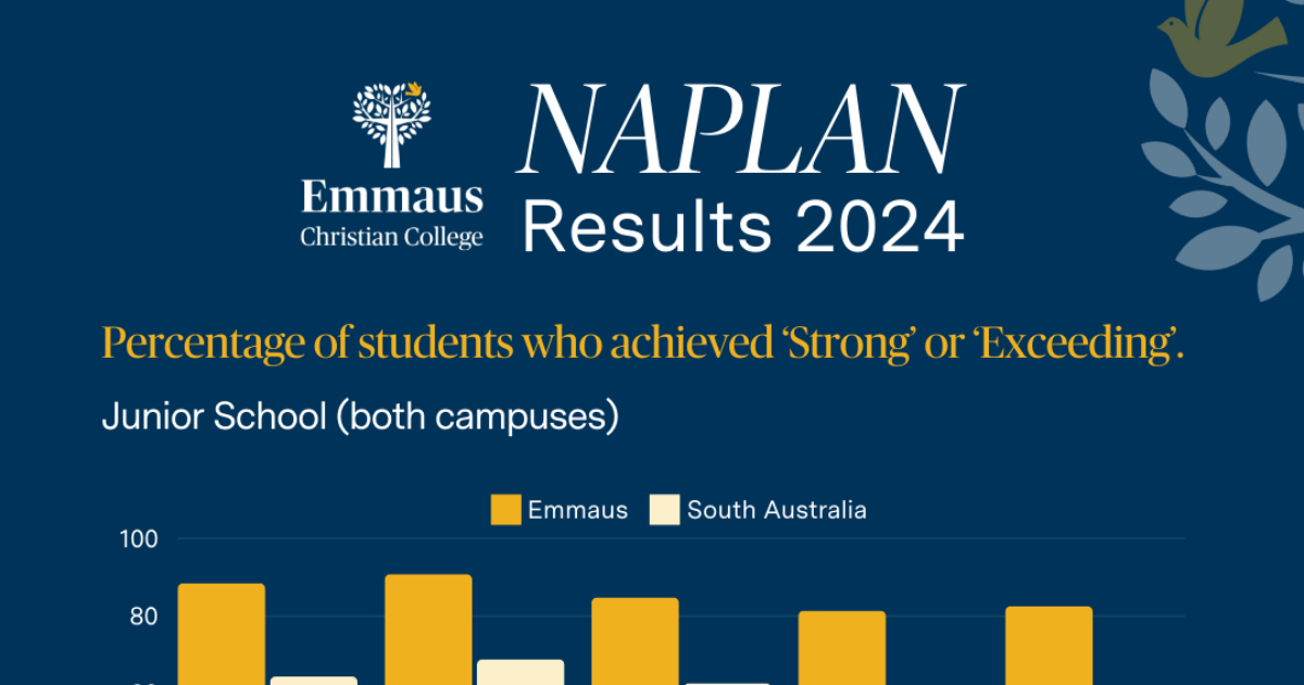 Emmaus students achieve record-breaking NAPLAN results • Emmaus ...